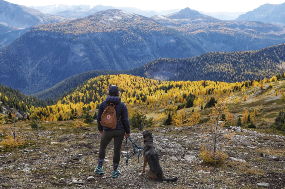Guest Rooms at the Banff Caribou Lodge & Spa